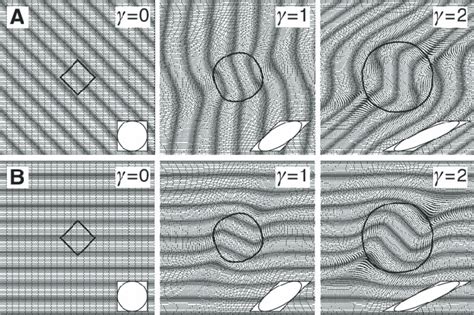 Numerical Simulation Of The Development Of Inclusion Patterns In A