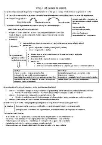 TEMA 4 PLANIFICACION Y ORGANIZACION DEL PERSONAL DE VENTAS Pdf