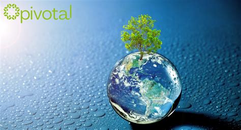 Sustainability Within Pivotal And Utilities