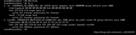 Linux中输入dhclient报错，无法获取ip的解决方案dhclient获取不到ip Csdn博客