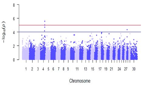 Manhattan Plot Of Genome Wide Association Analyses For Reproductive Download Scientific Diagram