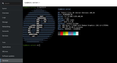 As Everyone Is Doing It Heres My Neofetch On My Mini Pc Home Server