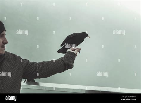 Crow Man