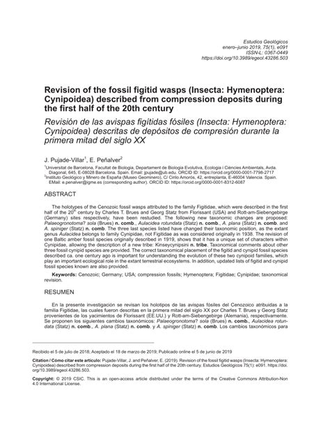 Pdf Revision Of The Fossil Figitid Wasps Insecta Hymenoptera Cynipoidea Described From