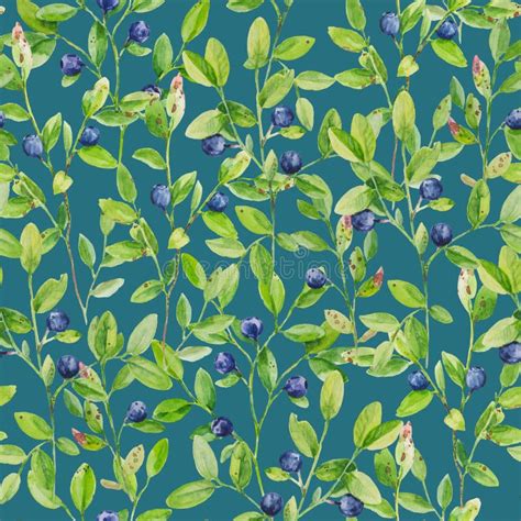 Watercolor Illustration Of Blueberry Branches With Ripe Berries