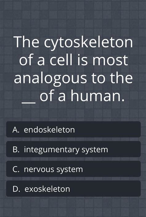 [answered] The Cytoskeleton Of A Cell Is Most Analogous To The Of A