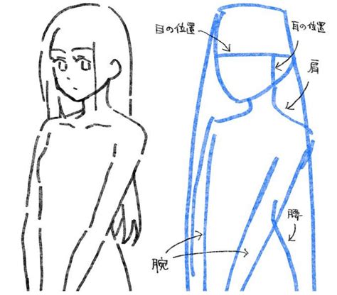 96こげ【イラスト講座】 On X【2024】 スケッチの基本 可愛い イラスト 書き方 イラスト