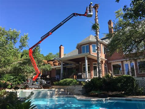 Tree Trimming Pruning And Maintenance By Full Canopy Tree Care