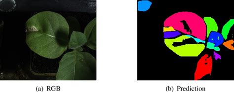 figure 1 from deep leaf segmentation using synthetic data semantic