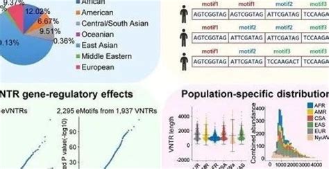 “女娲”基因组资源第六篇！中国科学院生物物理研究所徐涛 何顺民团队解析人类基因组小卫星多态性图谱 腾讯新闻