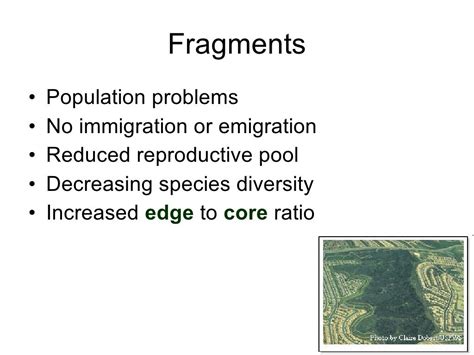 Habitat Fragmentation