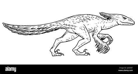 Pyroraptor Dinosaur Vector Stock Illustration Stock Vector Image And Art Alamy Pyroraptor Dinosaur Vector Stock Illustration Stock Vector Image And Art Alamy