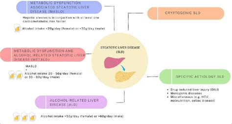 Metabolic Dysfunction Associated Steatotic Liver Disease And Type 2