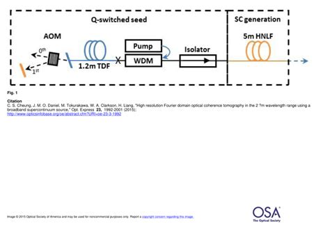 Pdf High Resolution Fourier Domain Optical Coherence Tomography In