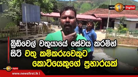 බ්‍රිඩ්වෙල් වතුයායේ සේවය කරමින් සිටි වතු කම්කරුවෙකුට කොටියෙකුගේ ප්‍රහාරයක් Youtube