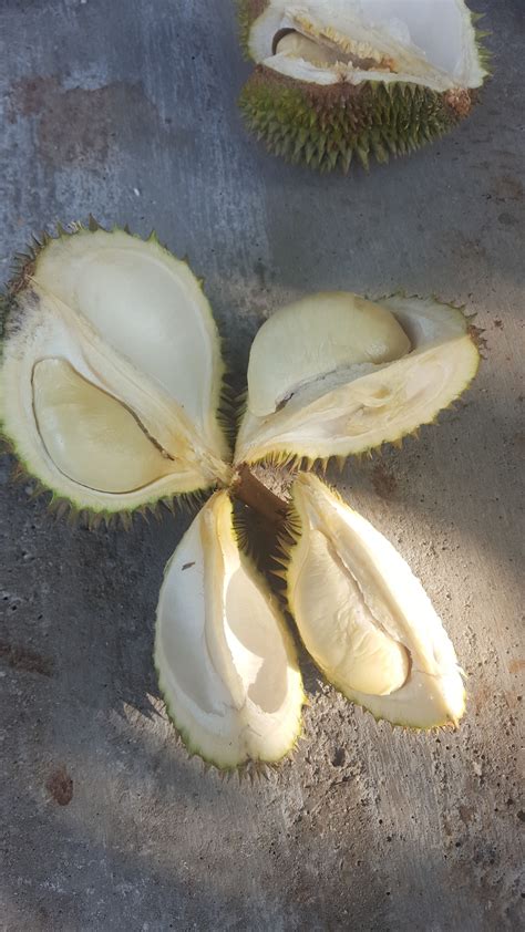 Better Choices—for A Better Sex Life Treat Ed With A Range Of