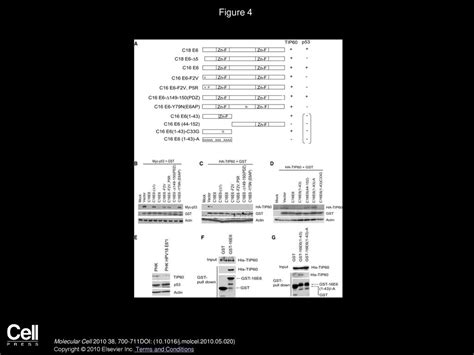 Volume 38 Issue 5 Pages June 2010 Ppt Download