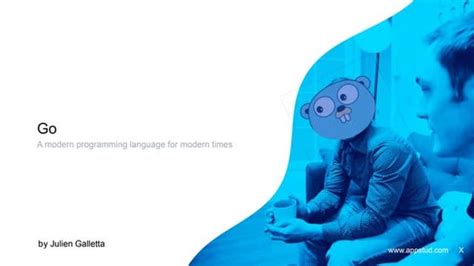Golang Go Programming Language Pptx Programming Languages Computing