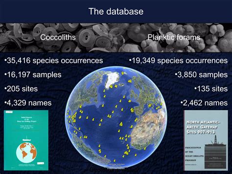 Comparing The Deep Sea Rock And Fossil Records Of Coccolithophores And