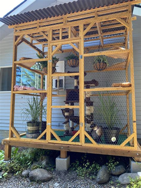 Catio Complete Lights Plants Beds And Astroturf For Enrichment R