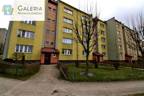 Mieszkanie M Z Kuchni Z Oknem Na Sprzeda Ul Donimirskich Elbl G