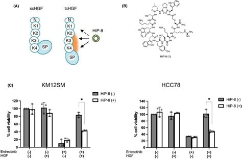 Hip‐8 Reversed Entrectinib Resistance Induced By Hgf A Scheme Of