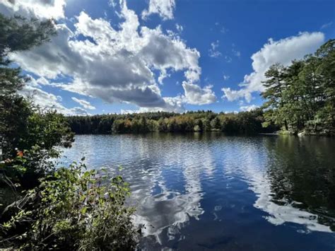 Best Snowshoeing Trails In Leominster Alltrails
