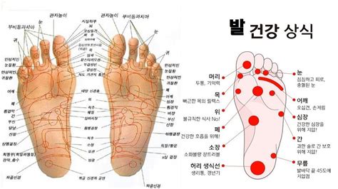 발 건강 상식 발 만 봐도 건강상태를 안다 Youtube Music