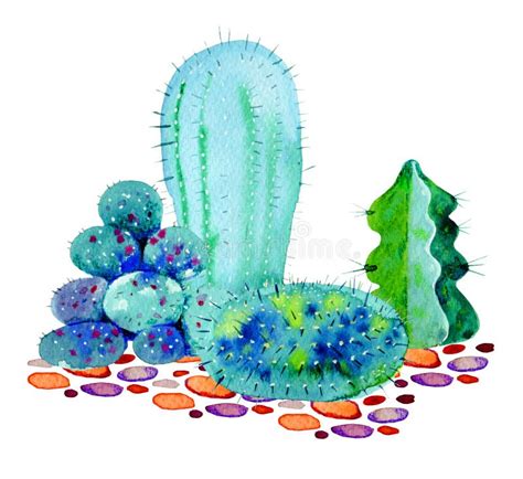 Diversa Composición De Los Cactus Ejemplo Exhausto Del Bosquejo Del