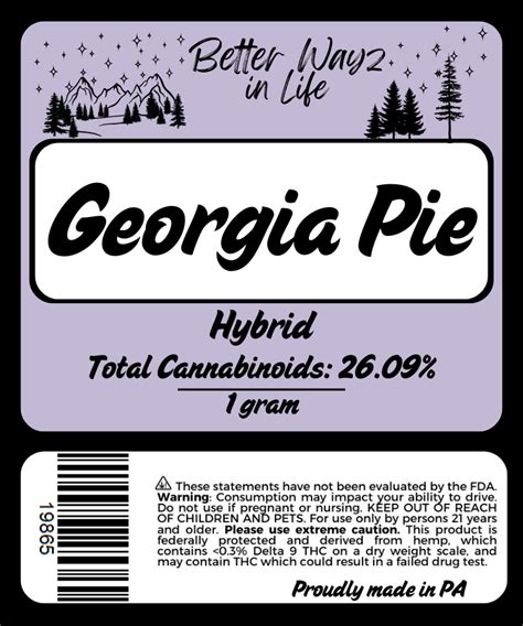 Georgia Pie Future Elevation