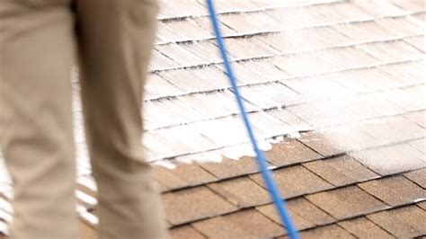 What To Expect From A Roof Soft Wash Near Me Sky Power Wash