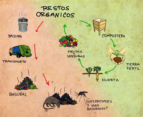 Viver Sustentável Ciclo da compostagem x lixo