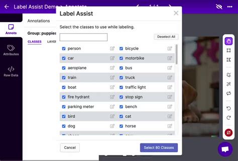 a for analytics on linkedin computervision ml annotation dataset