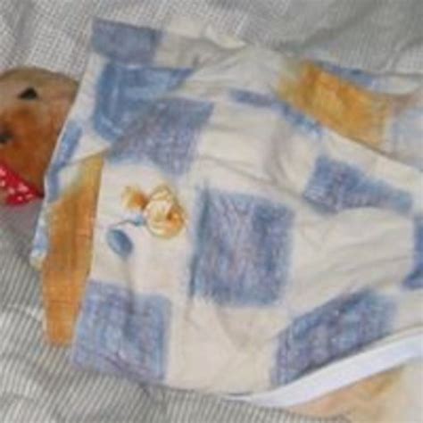 Yu Tsung Shih Phd Doctor Of Philosophy National Health Research Institutes Miaoli Nhri