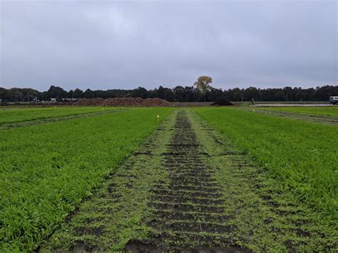 Elucidating The Underlying Soil Biology Drivers In Disease Suppressive
