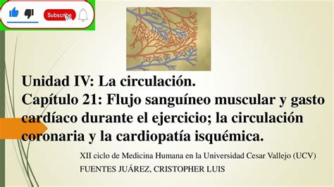 CAPÍTULO 21 FLUJO SANGUÍNEO MUSCULAR y GASTO CARDÍACO DURANTE EL