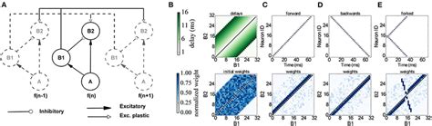 learning temporal patterns with the model by coath et al 2013 and