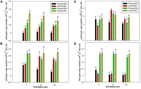 Frontiers | Response of Nitrifier and Denitrifier Abundance and Microbial Community Structure to ...