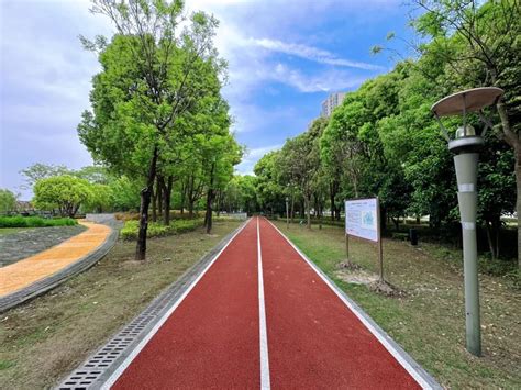 走起嘉定这里新建一条市民家门口的健身步道 社会广角 民生频道 上海市嘉定区人民政府