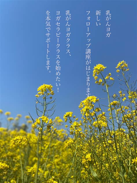 乳がんヨガ フォローアップ講座 Yoga Marga