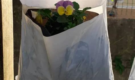 Grow Your Own Vertical Veg Patch At Home With Agri Urb Grow Kits Hyperli