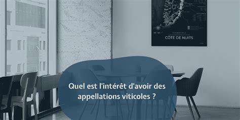 Quel est l intérêt d avoir des appellations viticoles geoVINUM