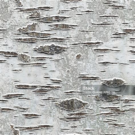 3d 사실적인 자작 나무 나무 껍질 렌더링 텍스처 배경 이미지 3차원 형태에 대한 스톡 사진 및 기타 이미지 3차원 형태 갈색 긁힌 Istock