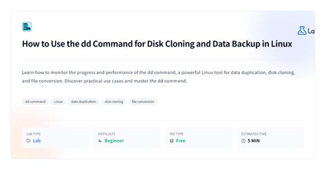 How To Use The Dd Command For Disk Cloning And Data Backup In Linux Labex