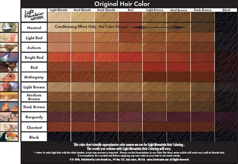 Hair Analysis Genetics At Sara Miller Blog