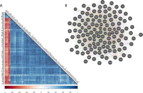 Mutations In The Non Coding Genome Contribute To Autism Mapping Ignorance