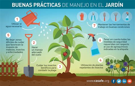 Buenas prácticas agrícolas en tu Jardín y en tu Huerta Casafe