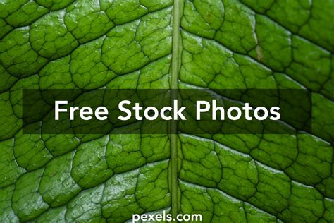 Green Cell Background Photos Download The Best Free Green Cell