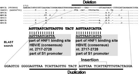 The Pattern Of Complex Structural Variations Svs Observed In Car001