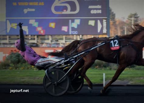 Le Specialiste Du Tierce